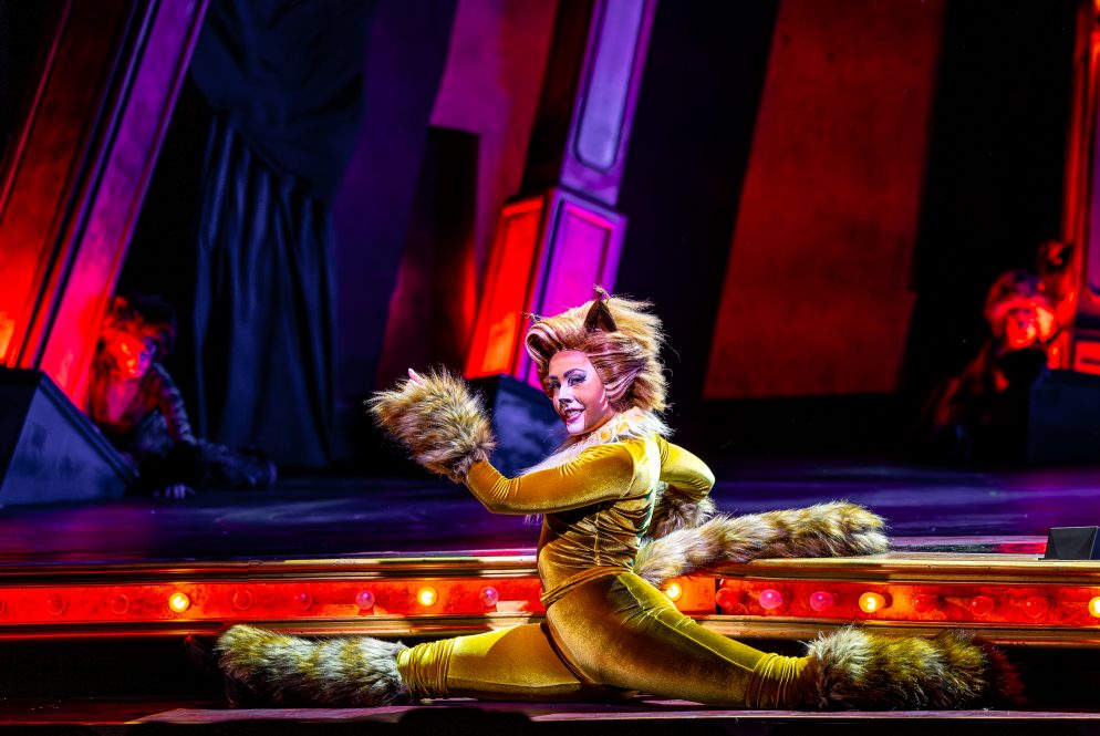 Cats | Paramount Theatre